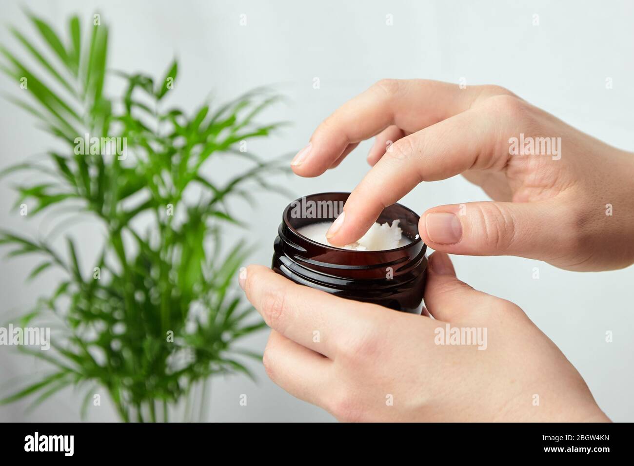 Shea butter in jar, cosmetic product for moisturizing skin and hair ...