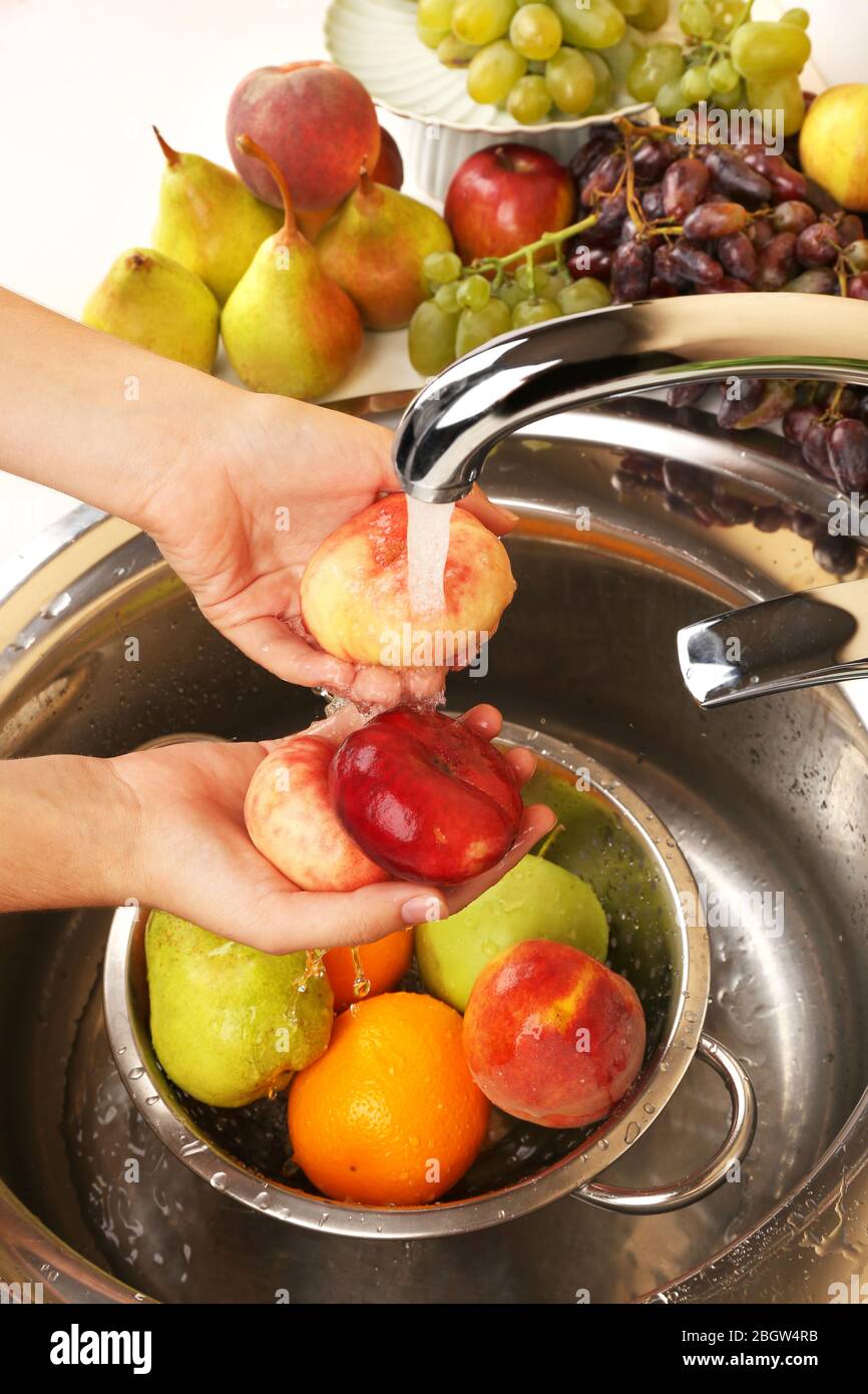 Woman's hands washing peaches and other fruits in colander in sink ...