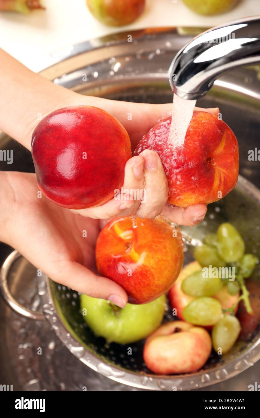Woman's hands washing peaches and other fruits in colander in sink ...