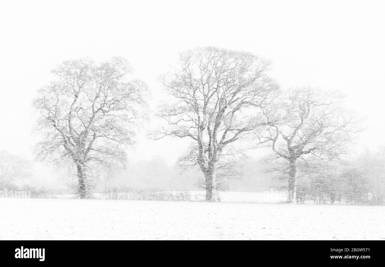 Snow january Cut Out Stock Images & Pictures - Alamy