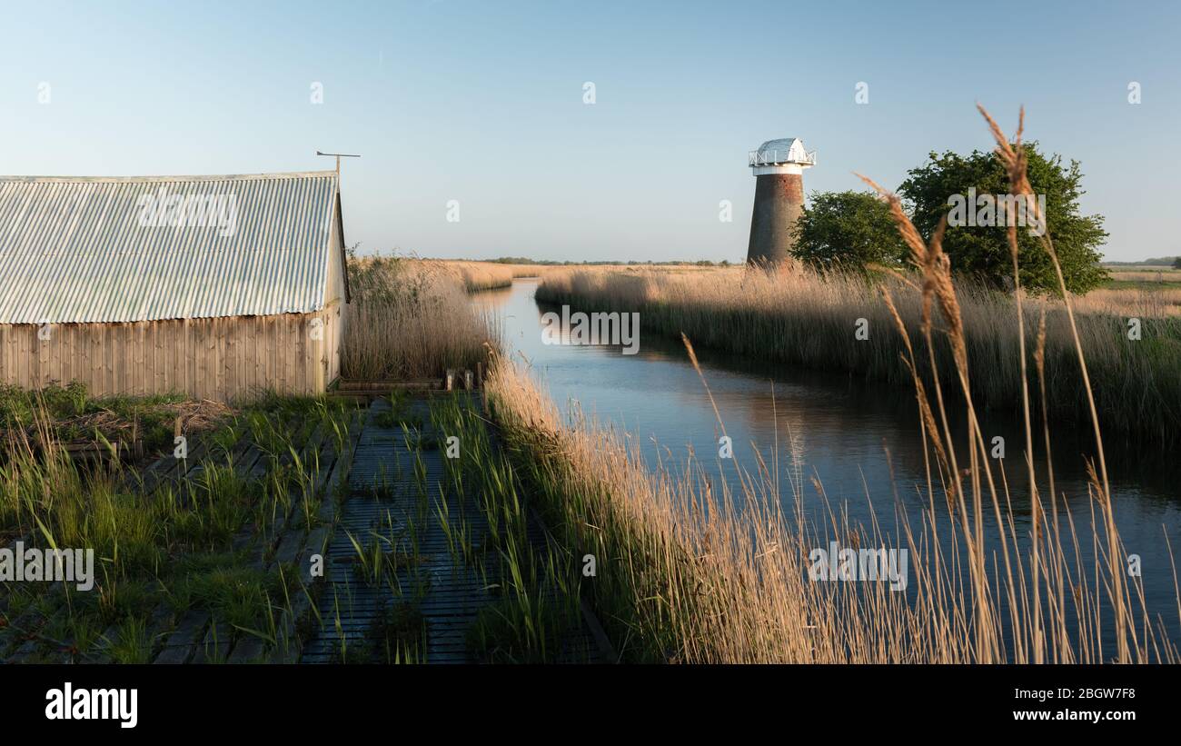 Martham broad morning- Martham Broad, May 2017 Stock Photo - Alamy