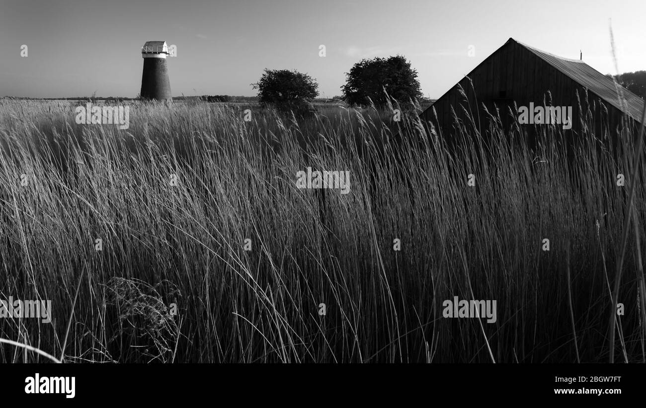 Martham broad morning- Martham Broad, May 2017 Stock Photo - Alamy