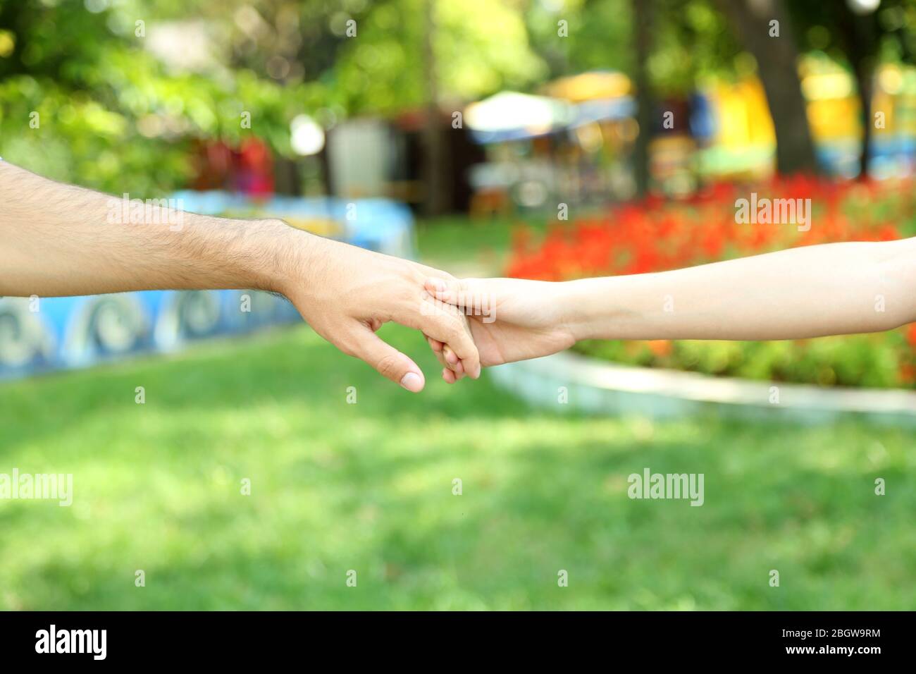 Two hands over green nature park Stock Photo - Alamy