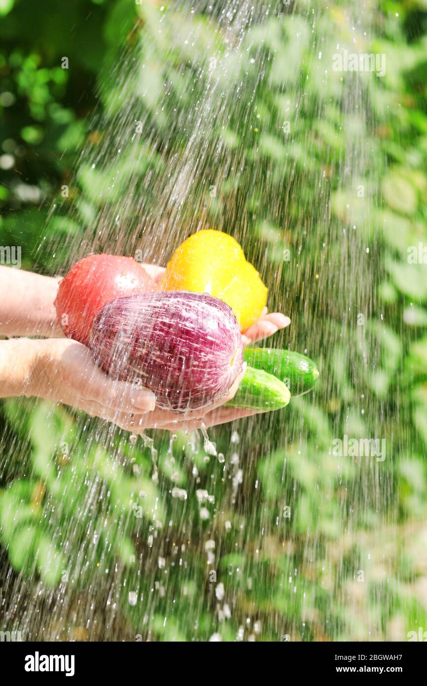 Woman washing various vegetables hi-res stock photography and images ...