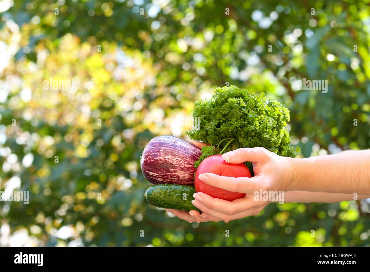 Washing vegetables, outdoors Stock Photo - Alamy