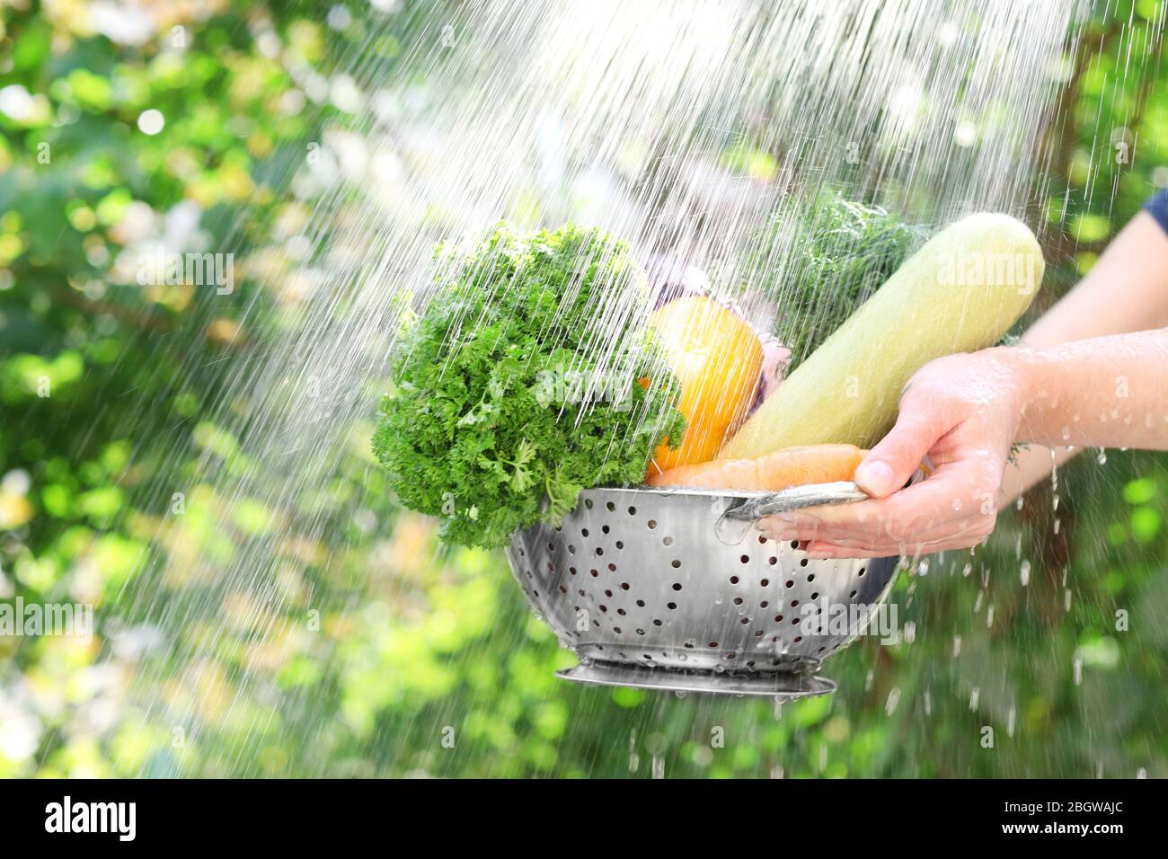 Woman washing different vegetables hi-res stock photography and images ...