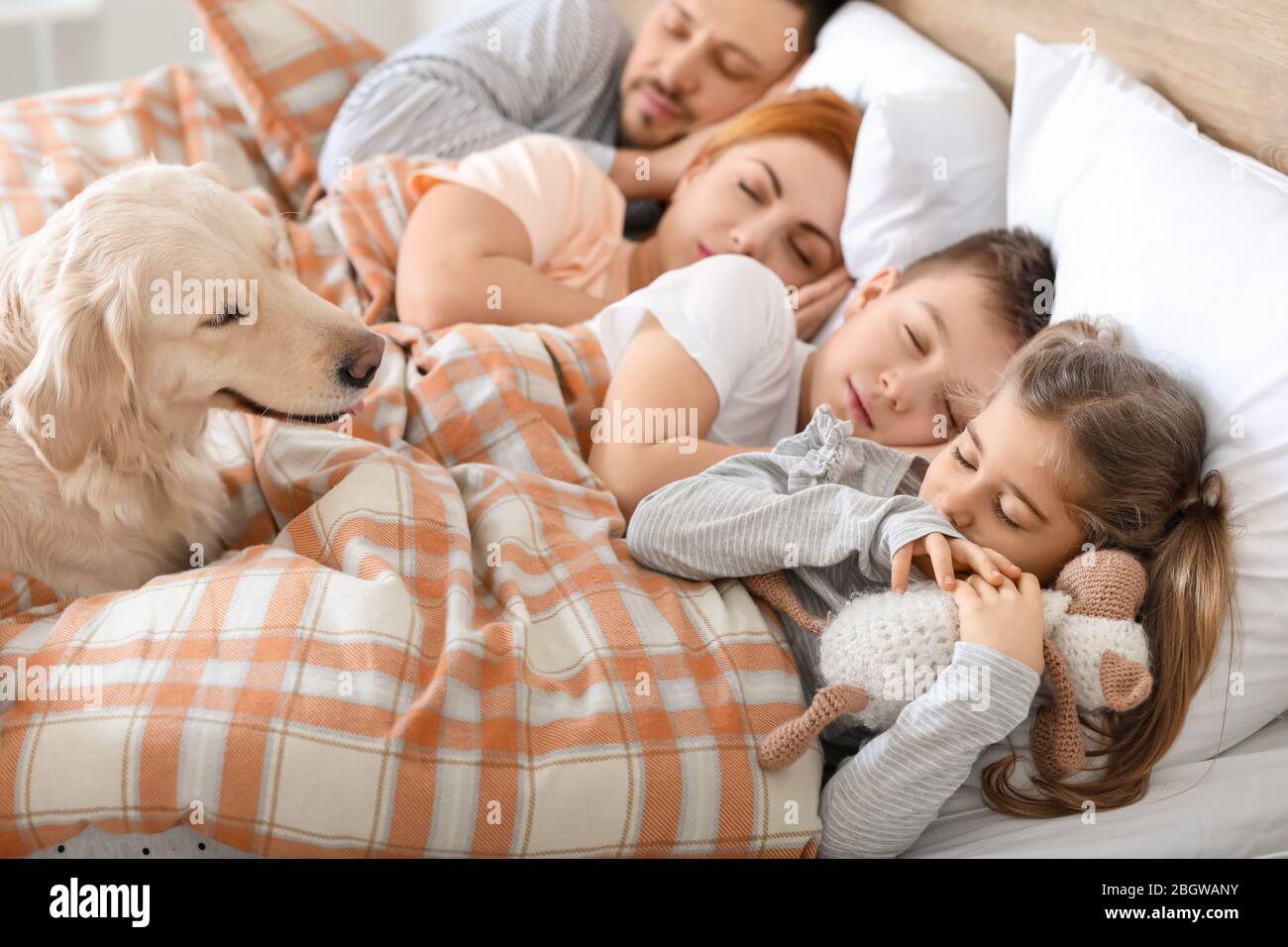 Happy family with dog sleeping in bed at home Stock Photo - Alamy
