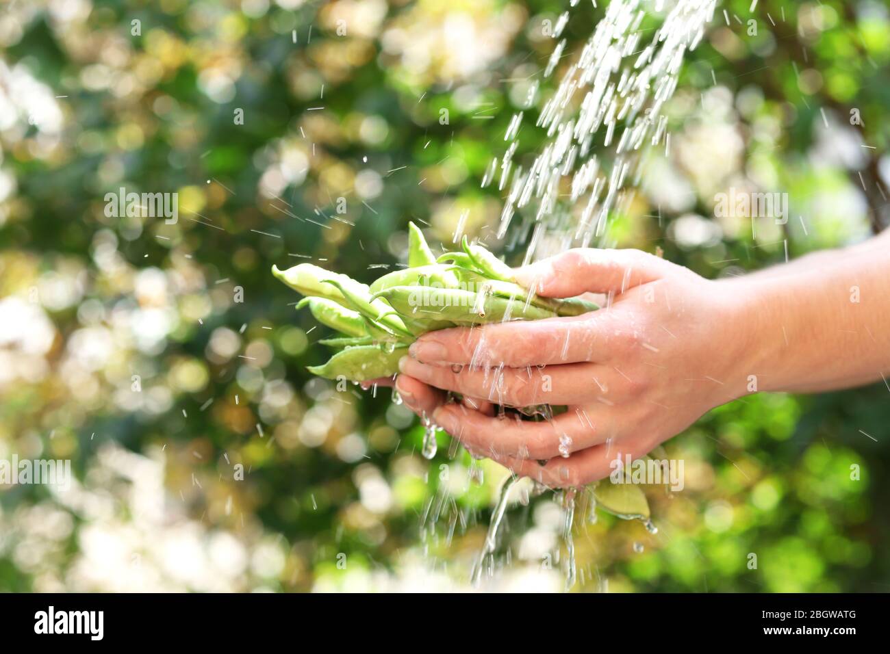 Washing vegetables, outdoors Stock Photo - Alamy