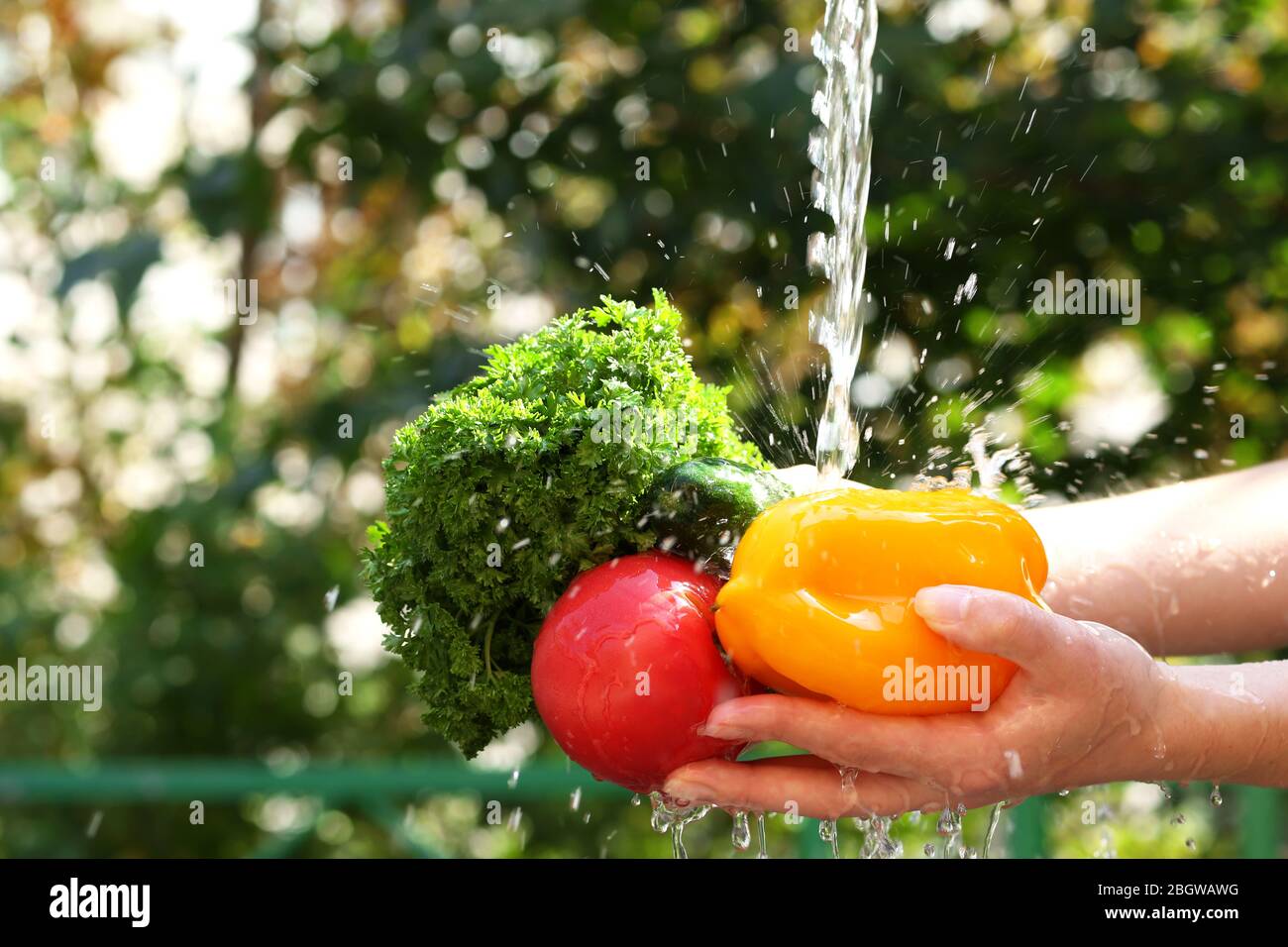 Splashing water and washing leaves hi-res stock photography and images ...