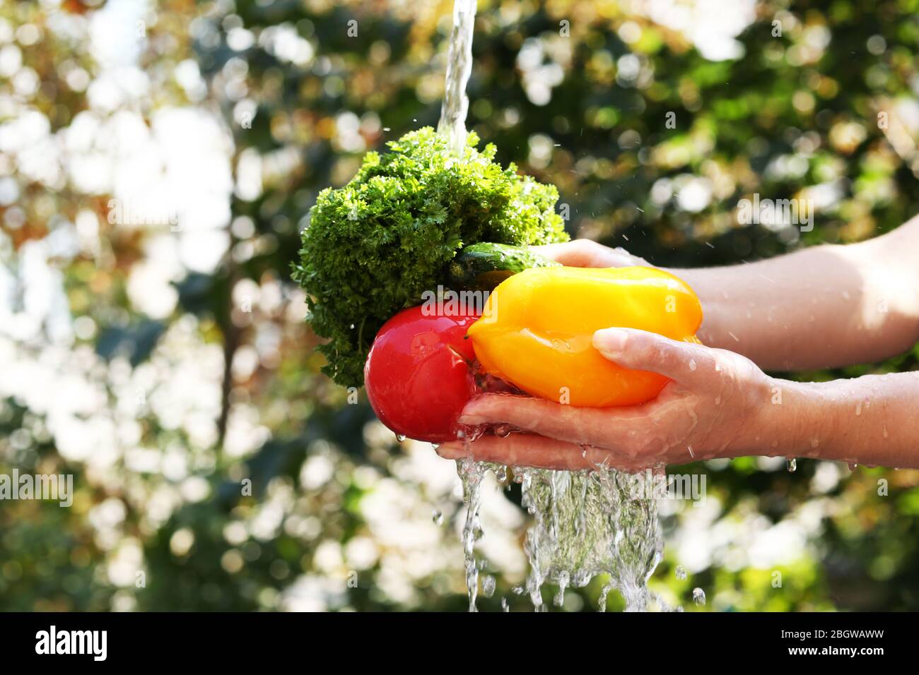 Washing vegetables, outdoors Stock Photo - Alamy