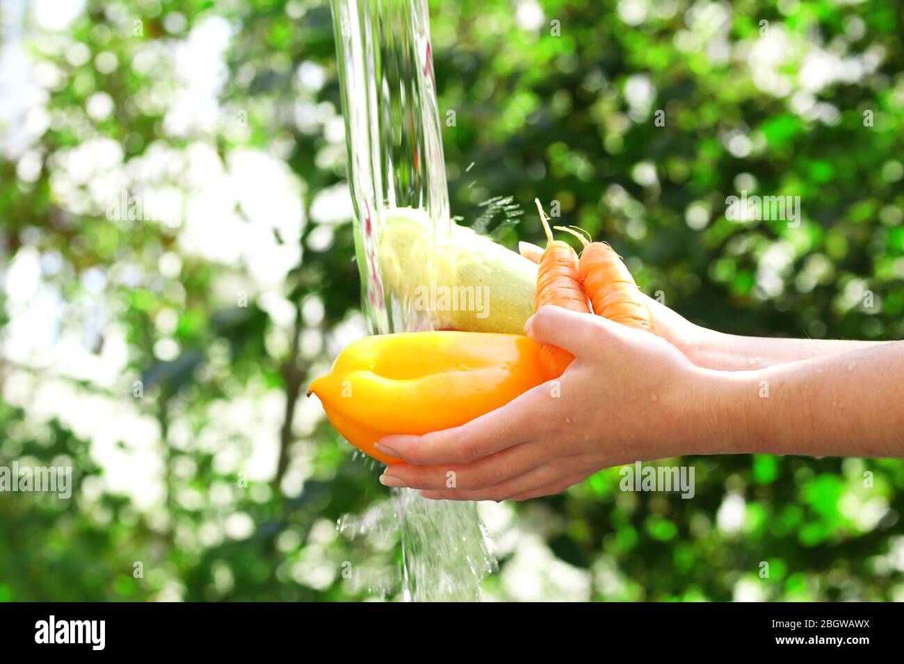 Washing vegetables, outdoors Stock Photo - Alamy