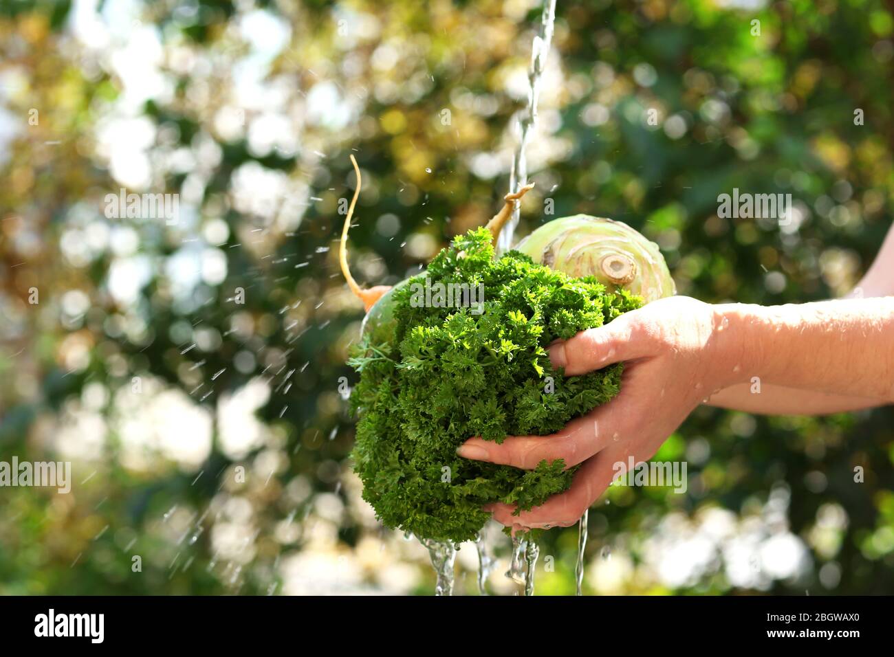 Woman washing different vegetables hi-res stock photography and images - Alamy