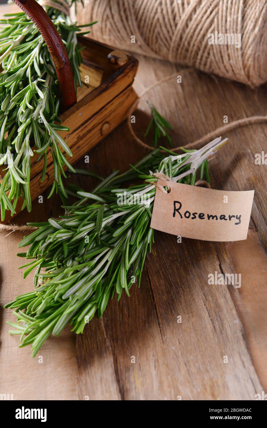 Rosemary plant label hi-res stock photography and images - Alamy