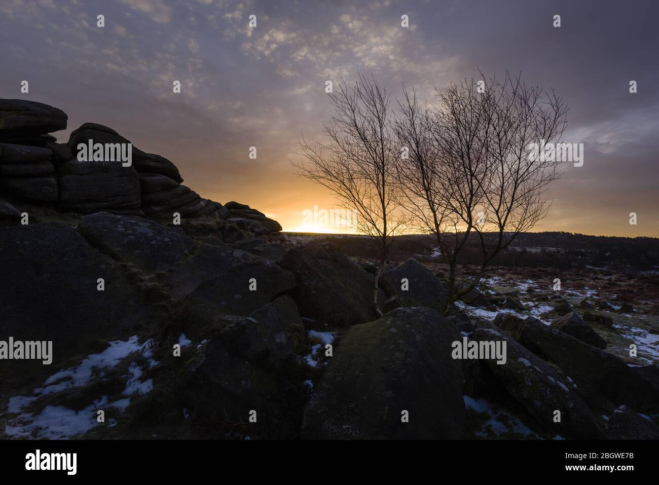 Tor behind trees hi-res stock photography and images - Alamy