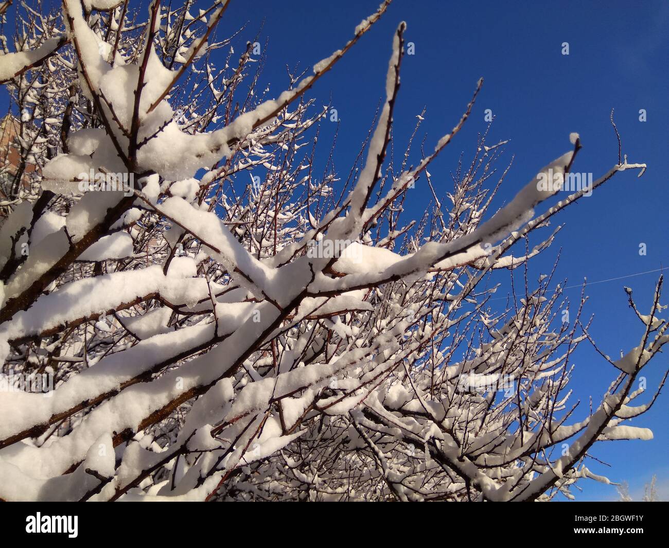 Beautiful nature snow hi-res stock photography and images - Alamy