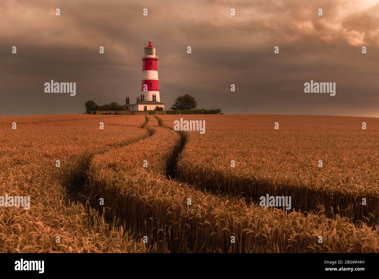 'Guidance' Happisburgh lighthouse across wheat field and leading lines ...