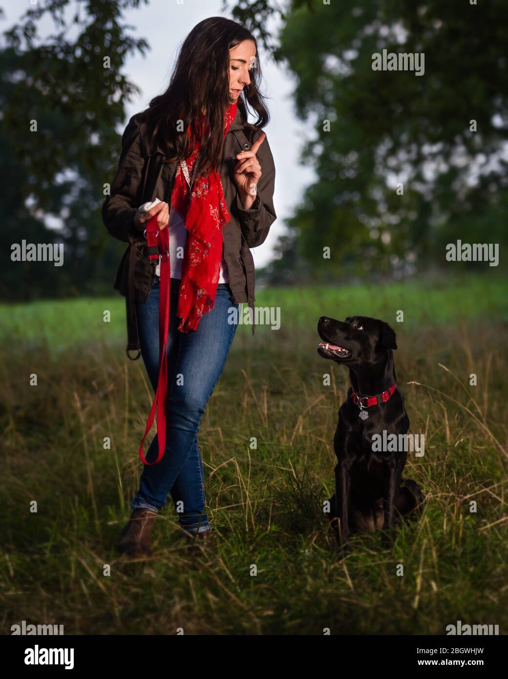 Black Lab dog and owner in park i. September, 2018 Stock Photo - Alamy