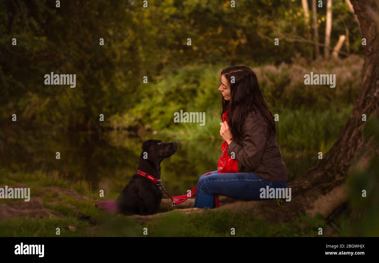 Black Lab dog and owner by tree and river iii. September, 2018 Stock ...