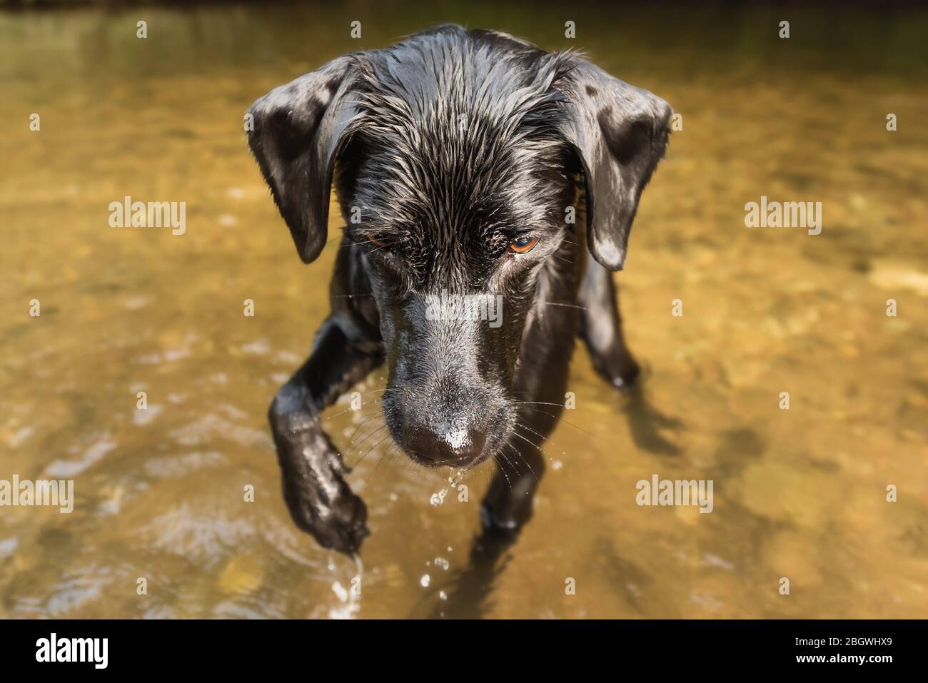 Elsa ii hi-res stock photography and images - Alamy