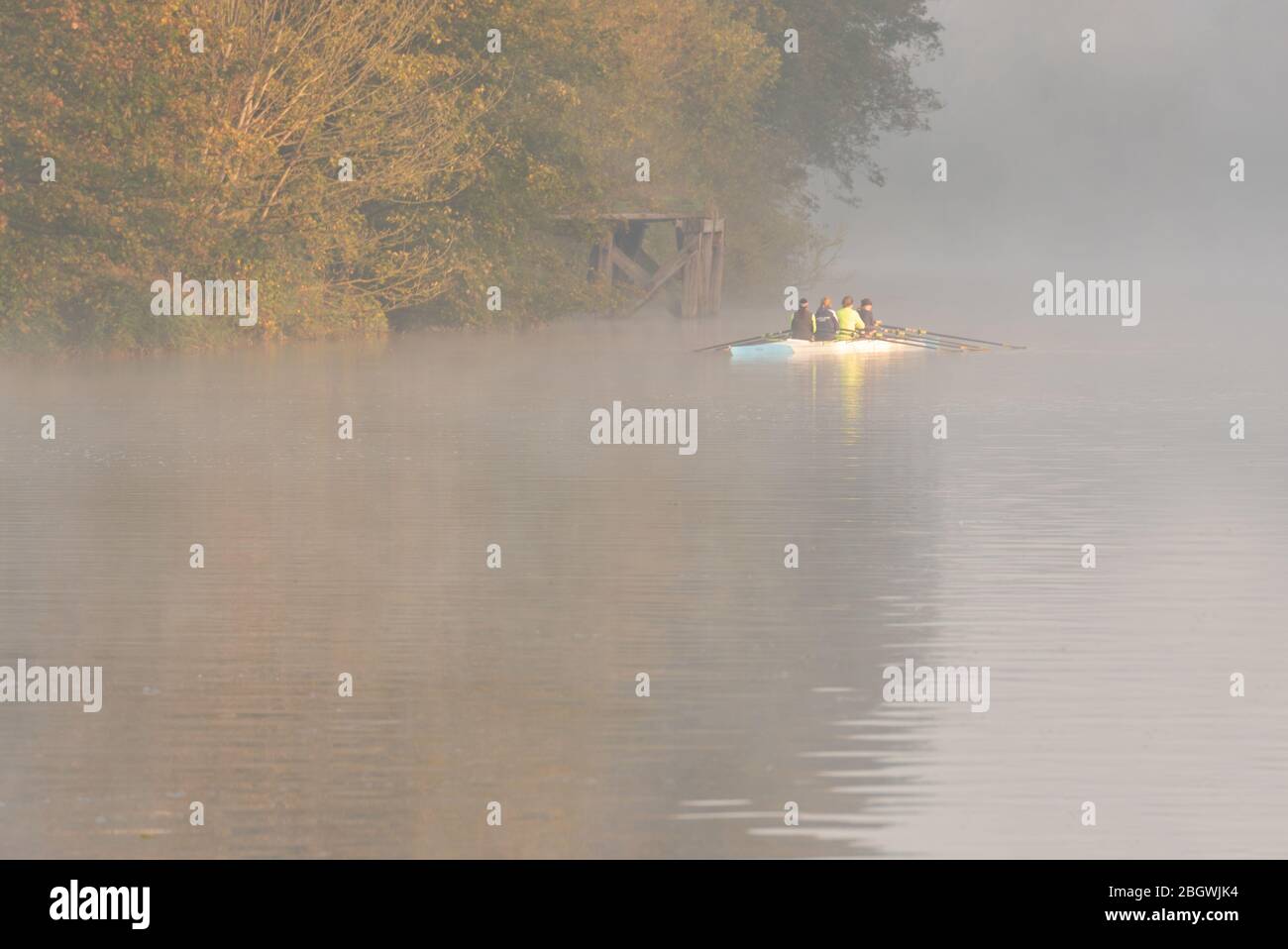 Quad sculling hi-res stock photography and images - Alamy