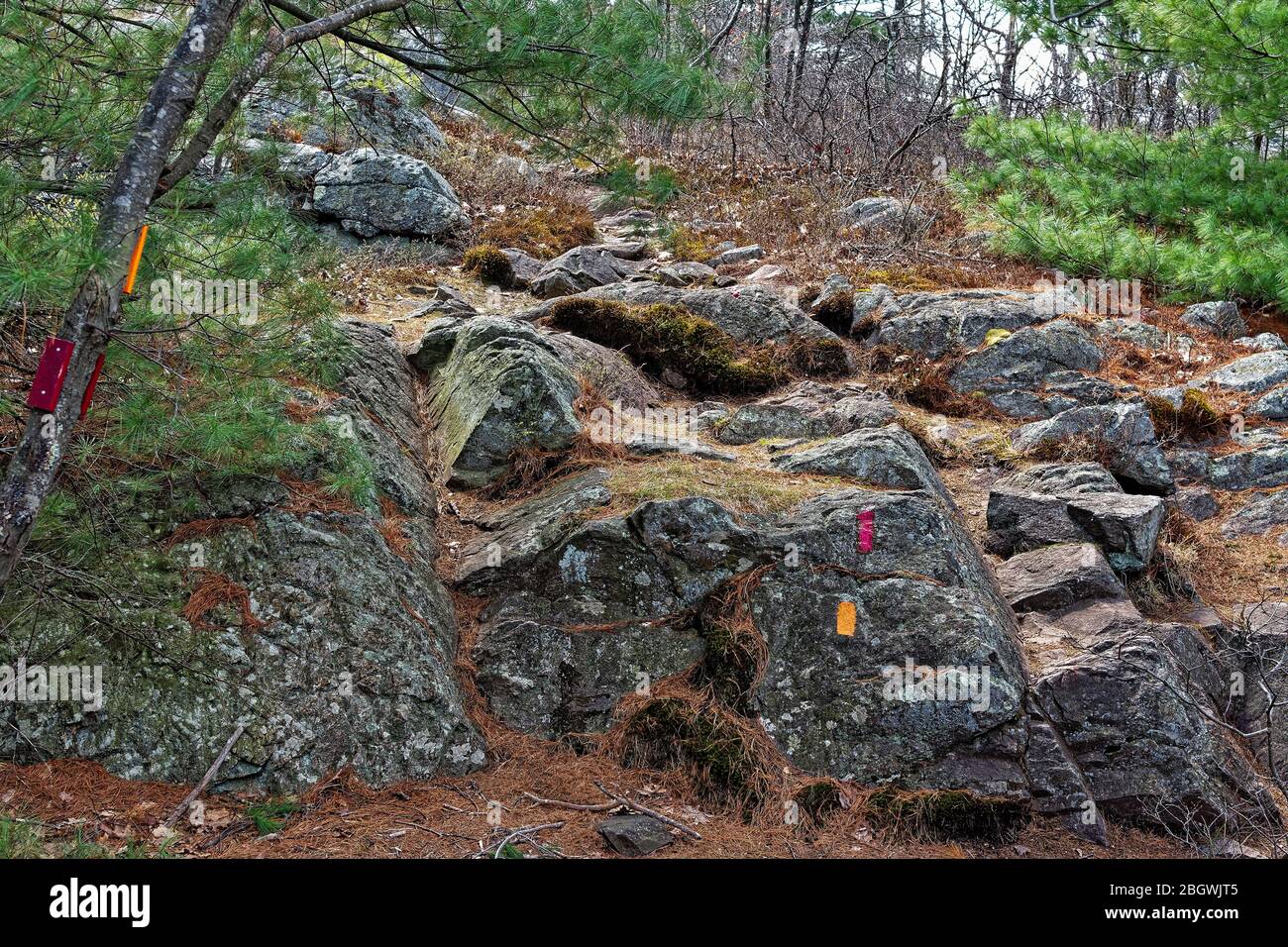Breakheart trail hi-res stock photography and images - Alamy