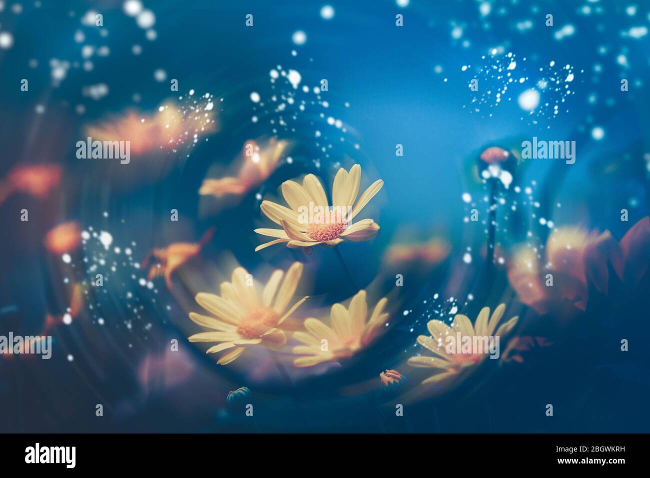 dramatic flower background; Nature Background Stock Photo - Alamy