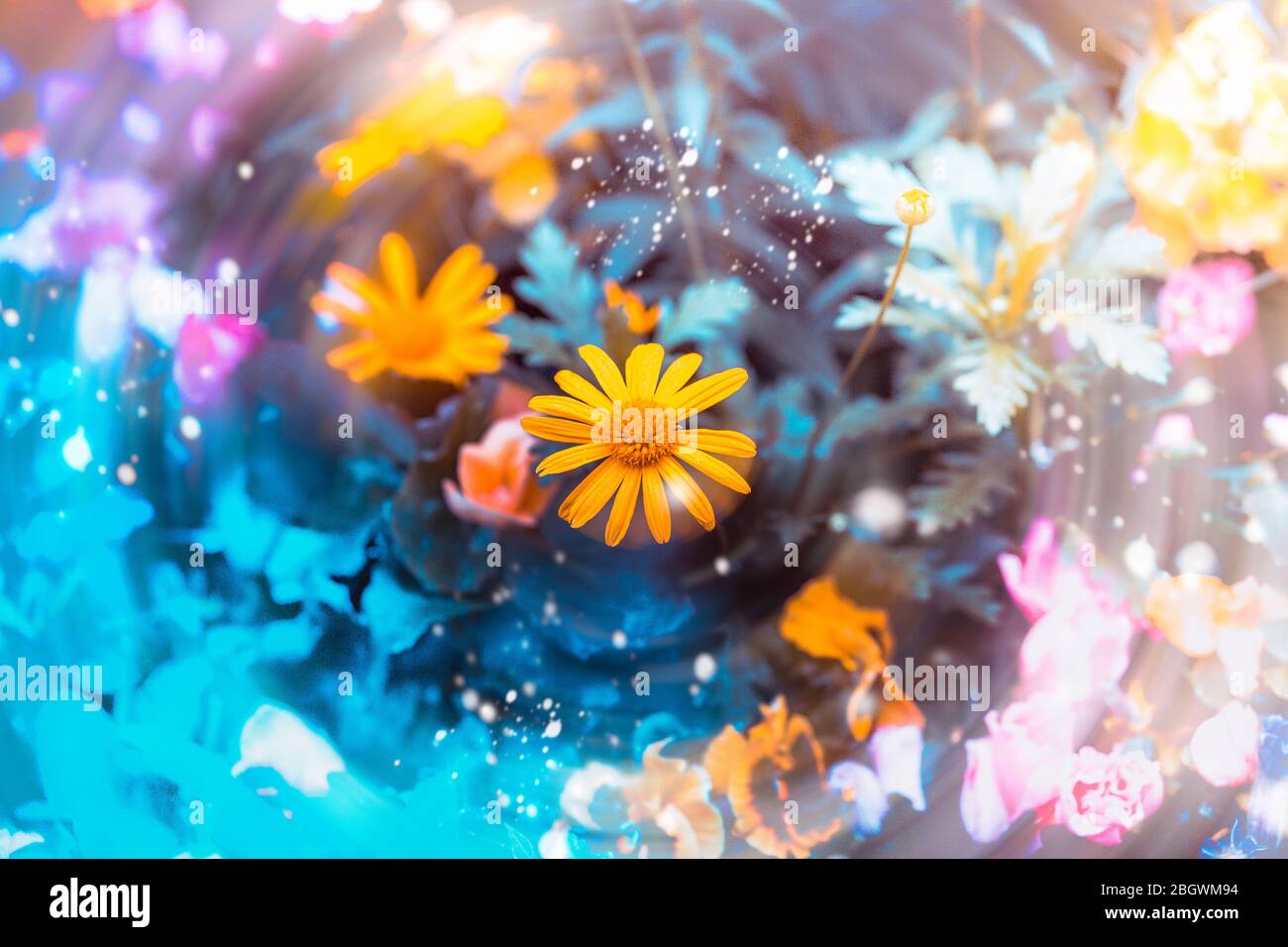 dramatic flower background; Nature Background Stock Photo - Alamy