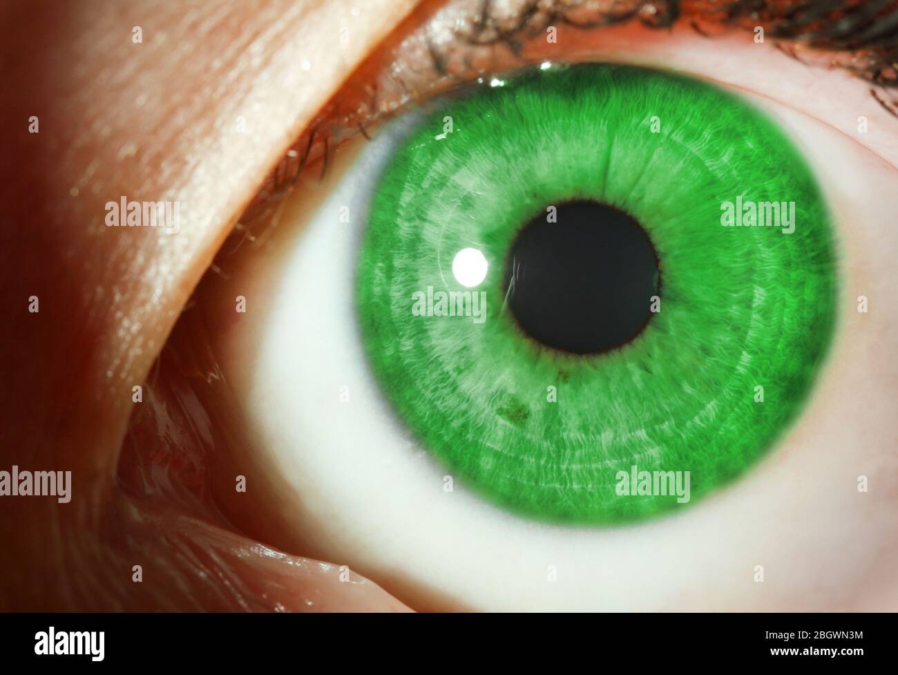 Human eye close-up Stock Photo - Alamy