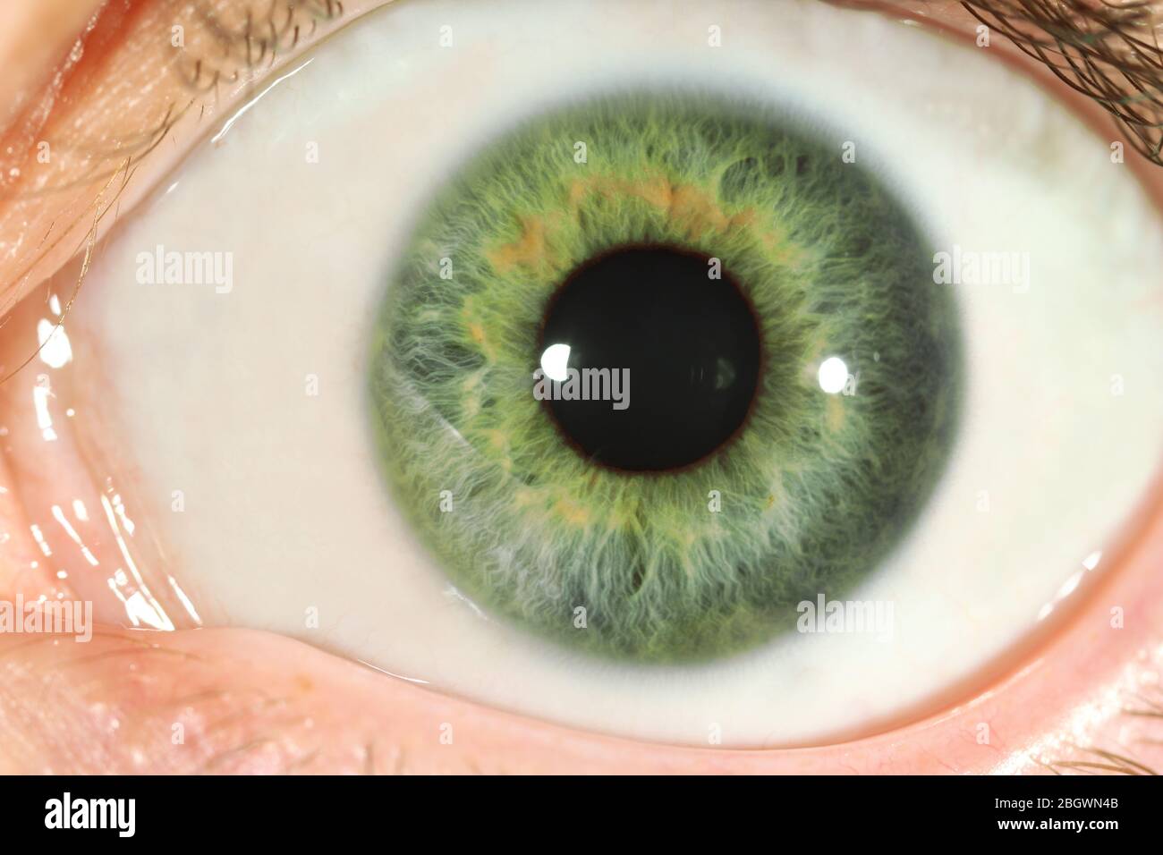 Human eye close-up Stock Photo - Alamy