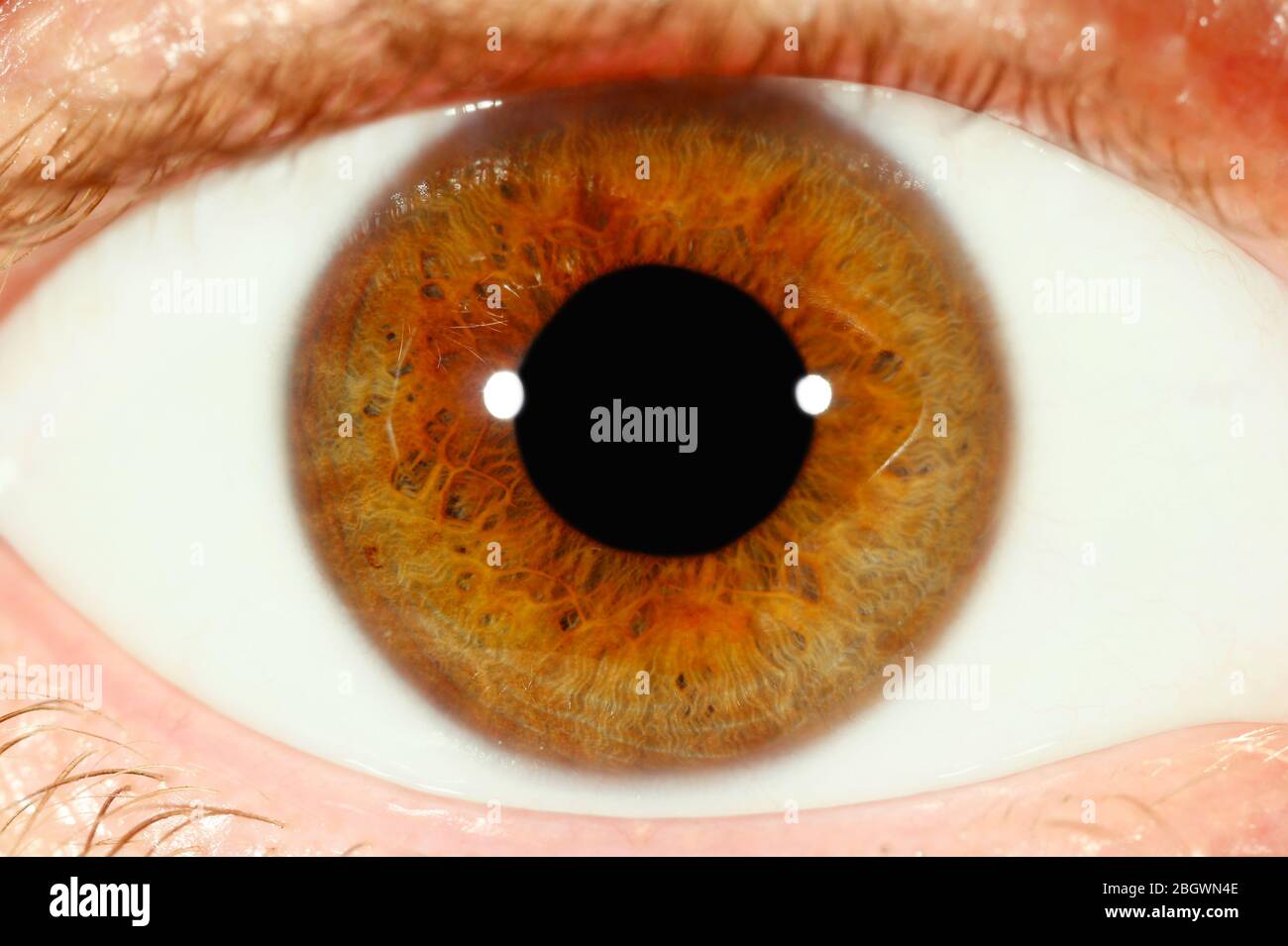 Human eye close-up Stock Photo - Alamy