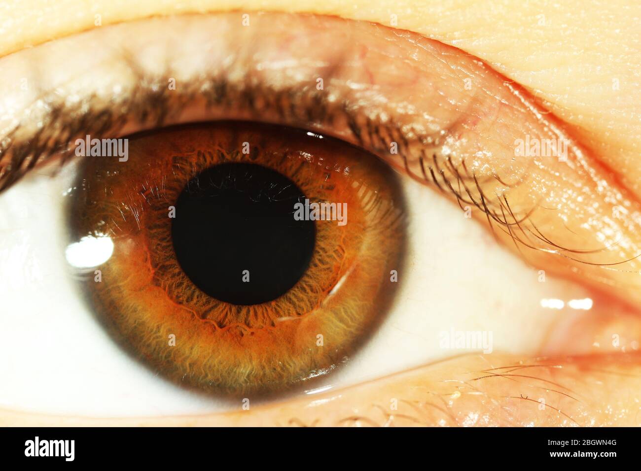 Human eye close-up Stock Photo - Alamy