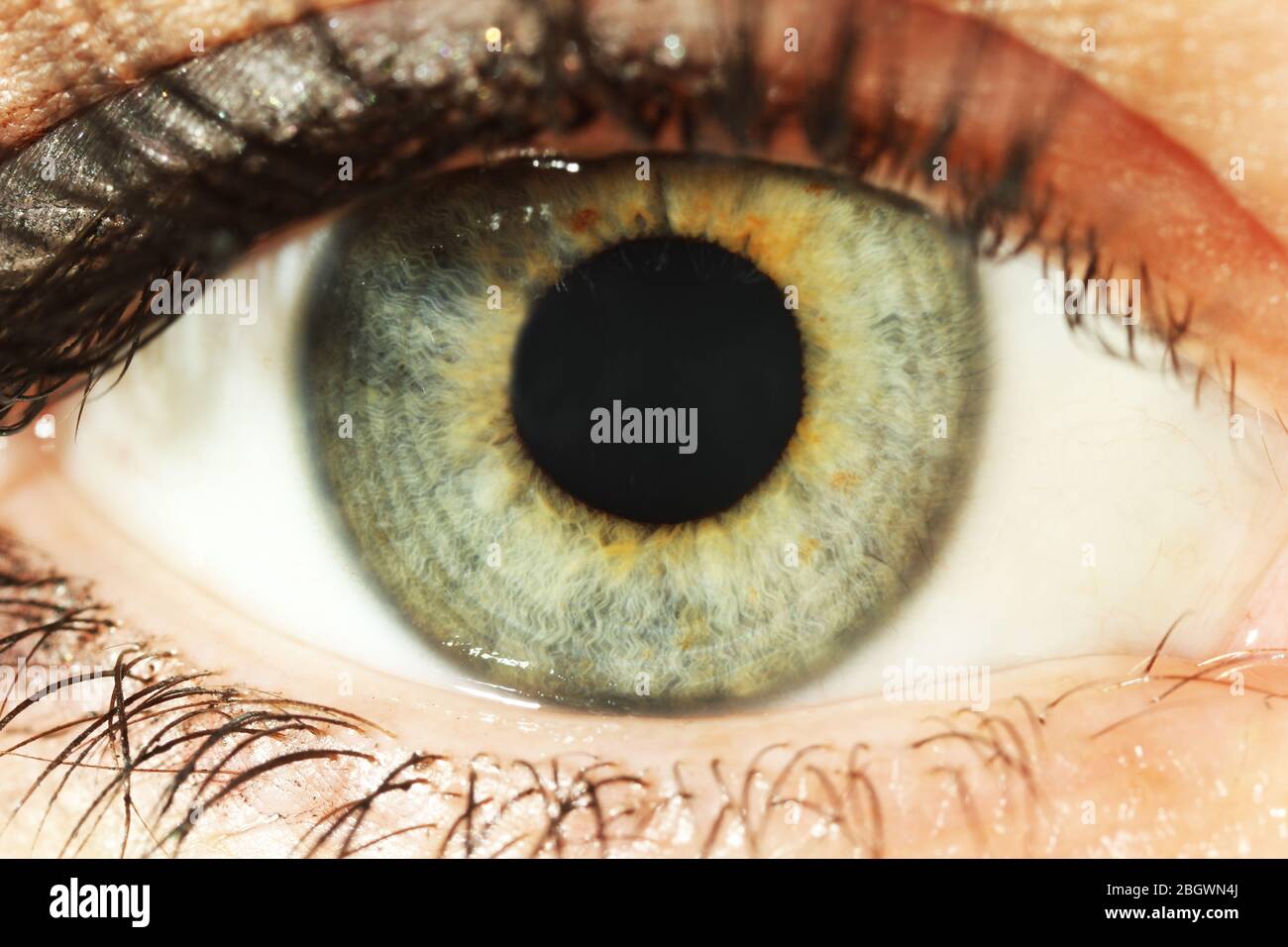 Human eye close-up Stock Photo - Alamy