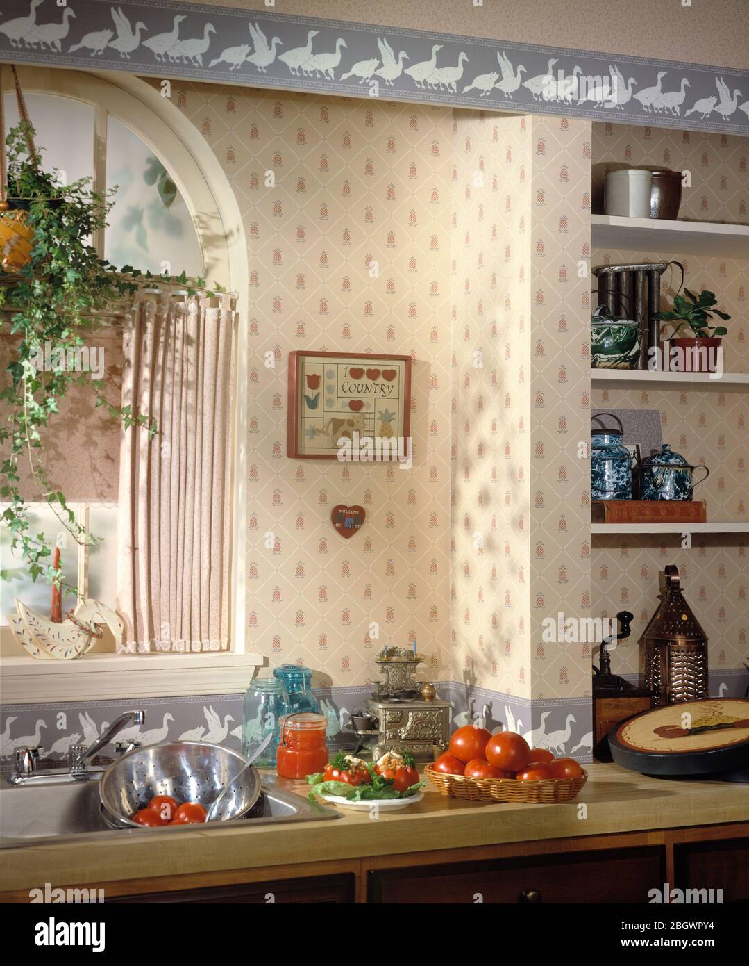 1980s kitchen design hi-res stock photography and images - Alamy