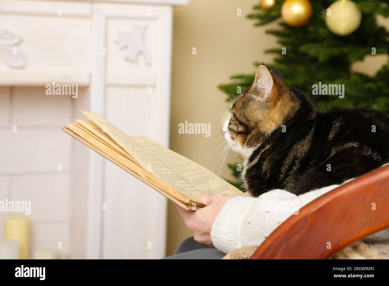 Woman and cute cat sitting on rocking chair and read the book in the ...