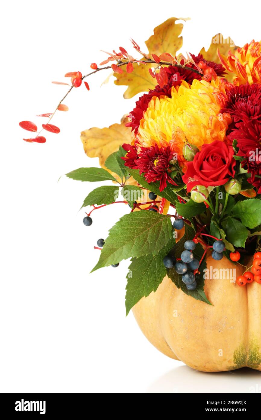 Beautiful autumn composition in pumpkin isolated on white Stock Photo ...