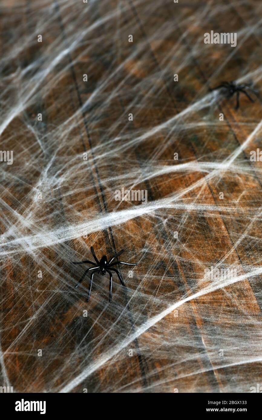 Cobweb with spider on wooden background Stock Photo - Alamy