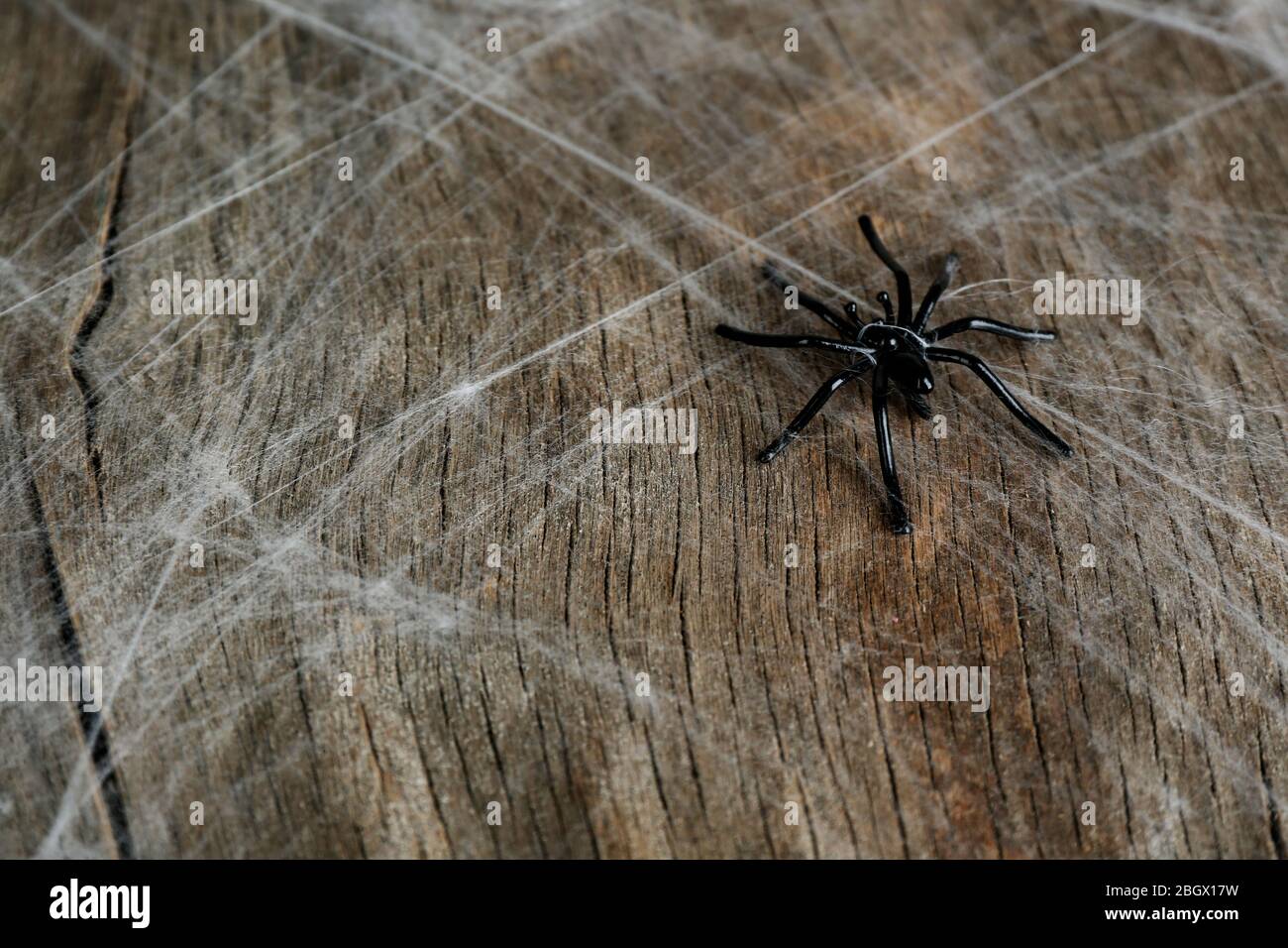 Real spooky spiders web hi-res stock photography and images - Alamy