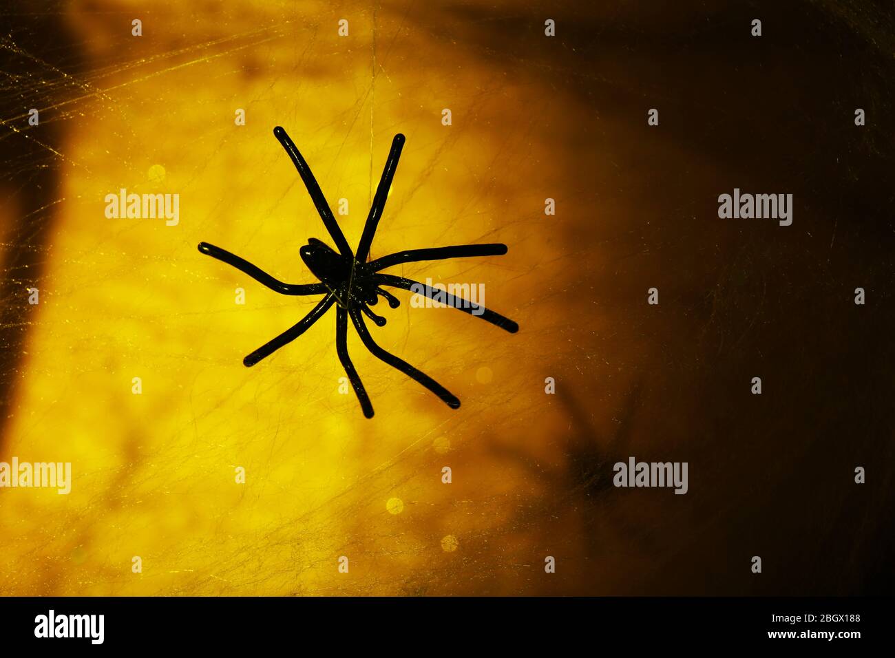 Cobweb with spider on colorful background Stock Photo - Alamy