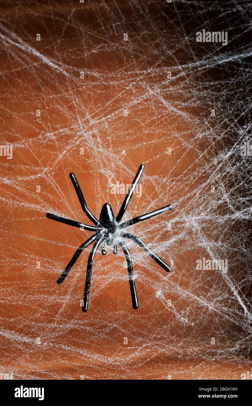 Real spooky spiders web hi-res stock photography and images - Alamy