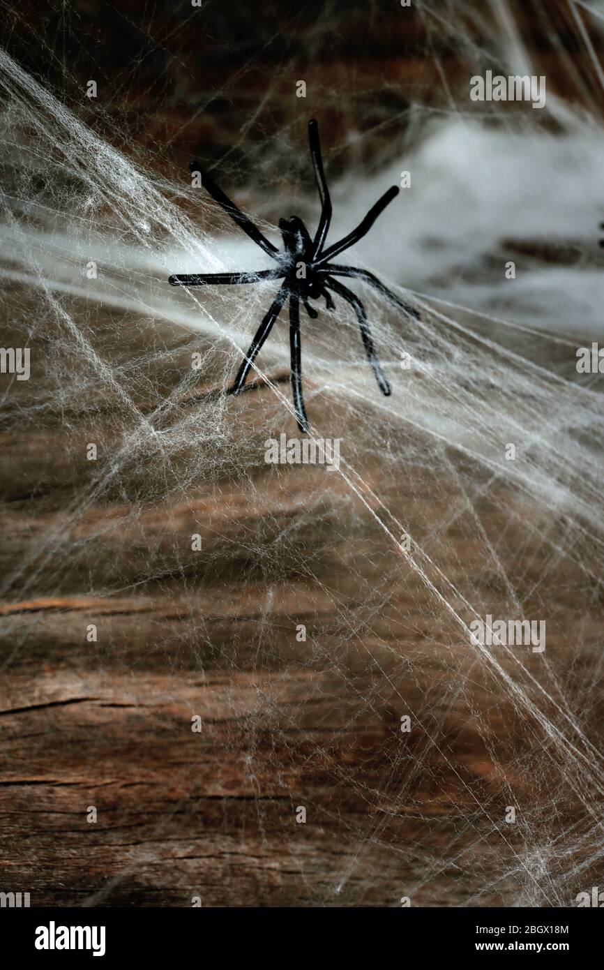 Cobweb with spider on wooden background Stock Photo - Alamy