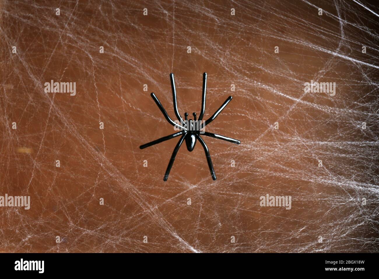 Real spooky spiders web hi-res stock photography and images - Alamy