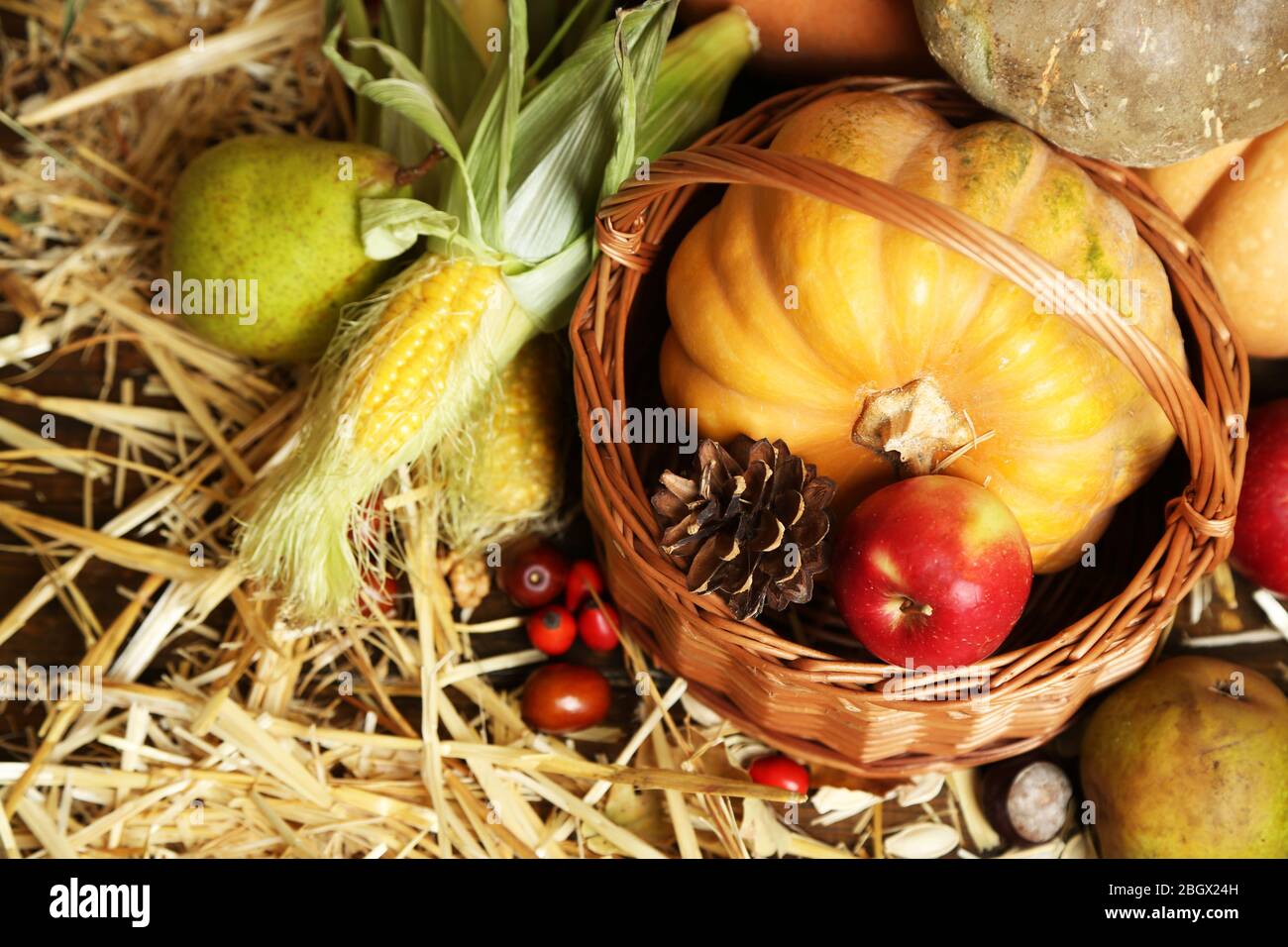 Beautiful autumn composition on straw Stock Photo - Alamy