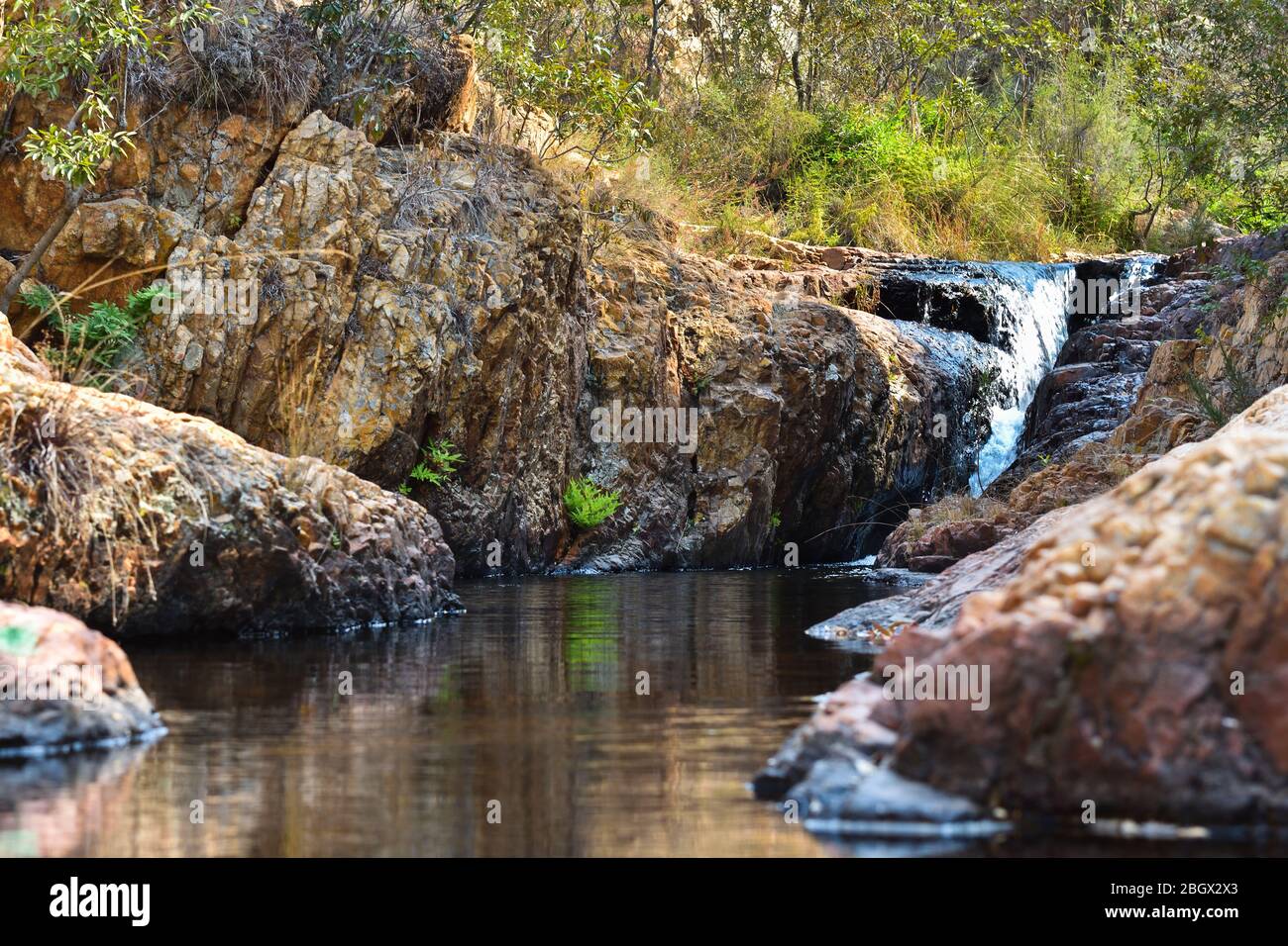 Freshwater surface hi-res stock photography and images - Alamy