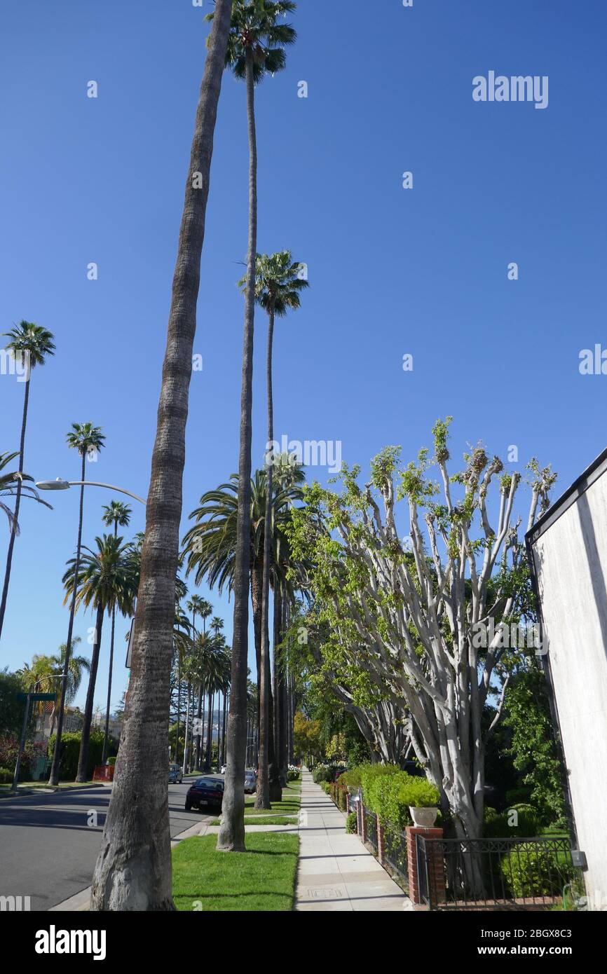 Los Angeles, California, USA 22nd April 2020 A general view of ...