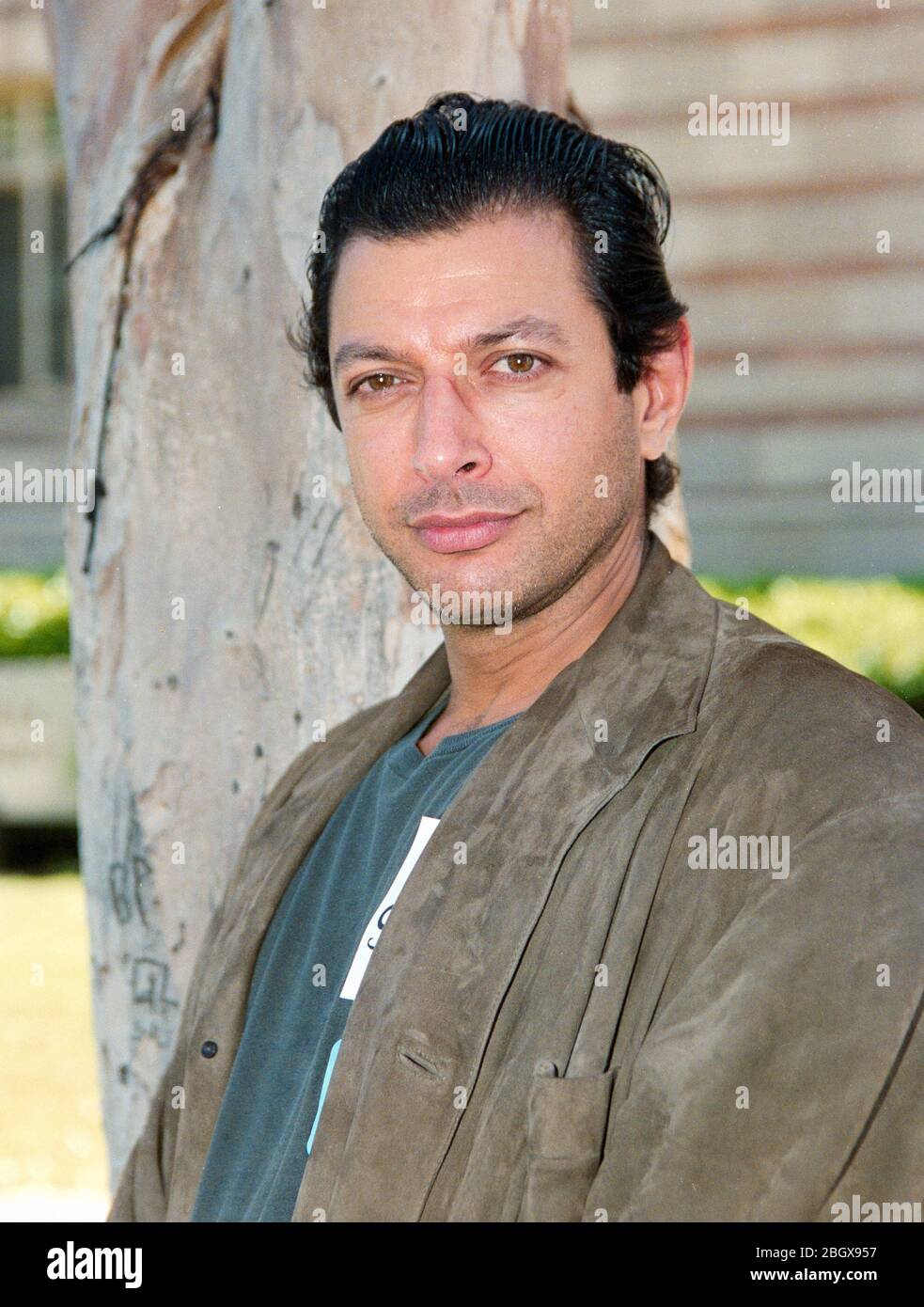 LOS ANGELES, CA. c.1993: Actor Jeff Goldblum. File photo © Paul Smith ...