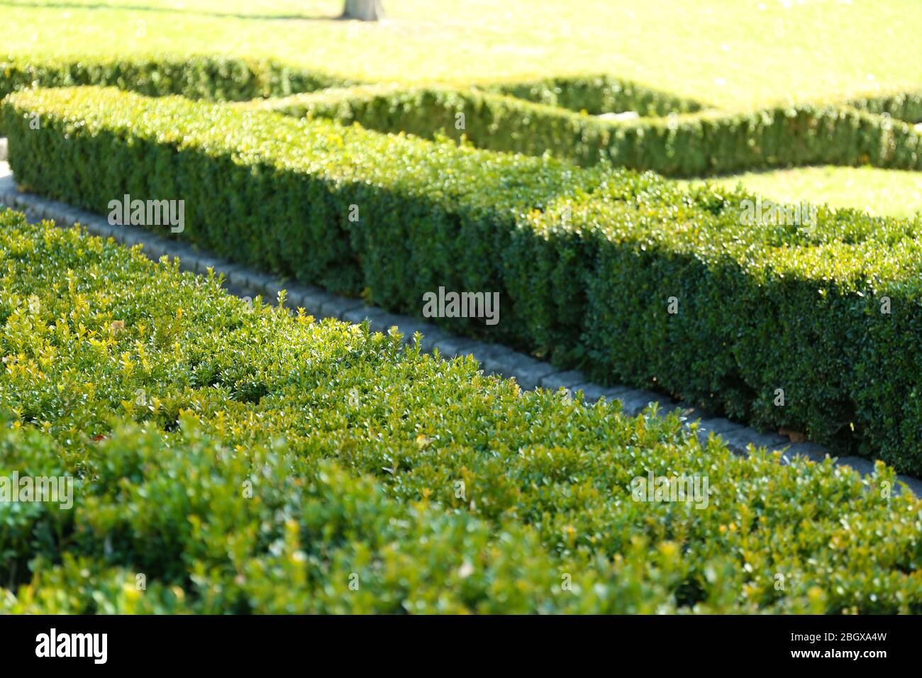 Boxwood road hi-res stock photography and images - Alamy
