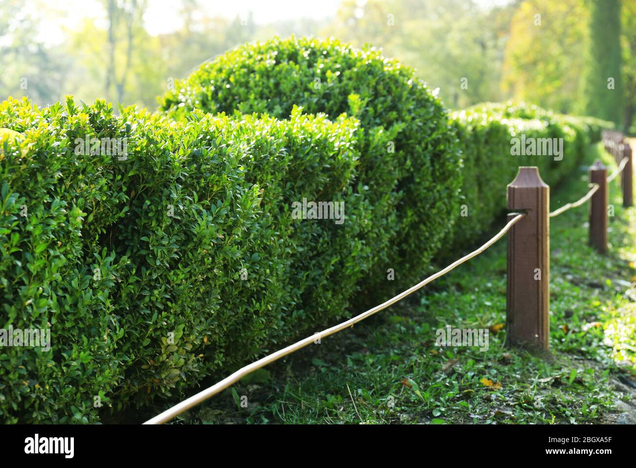 Boxwood road hi-res stock photography and images - Alamy
