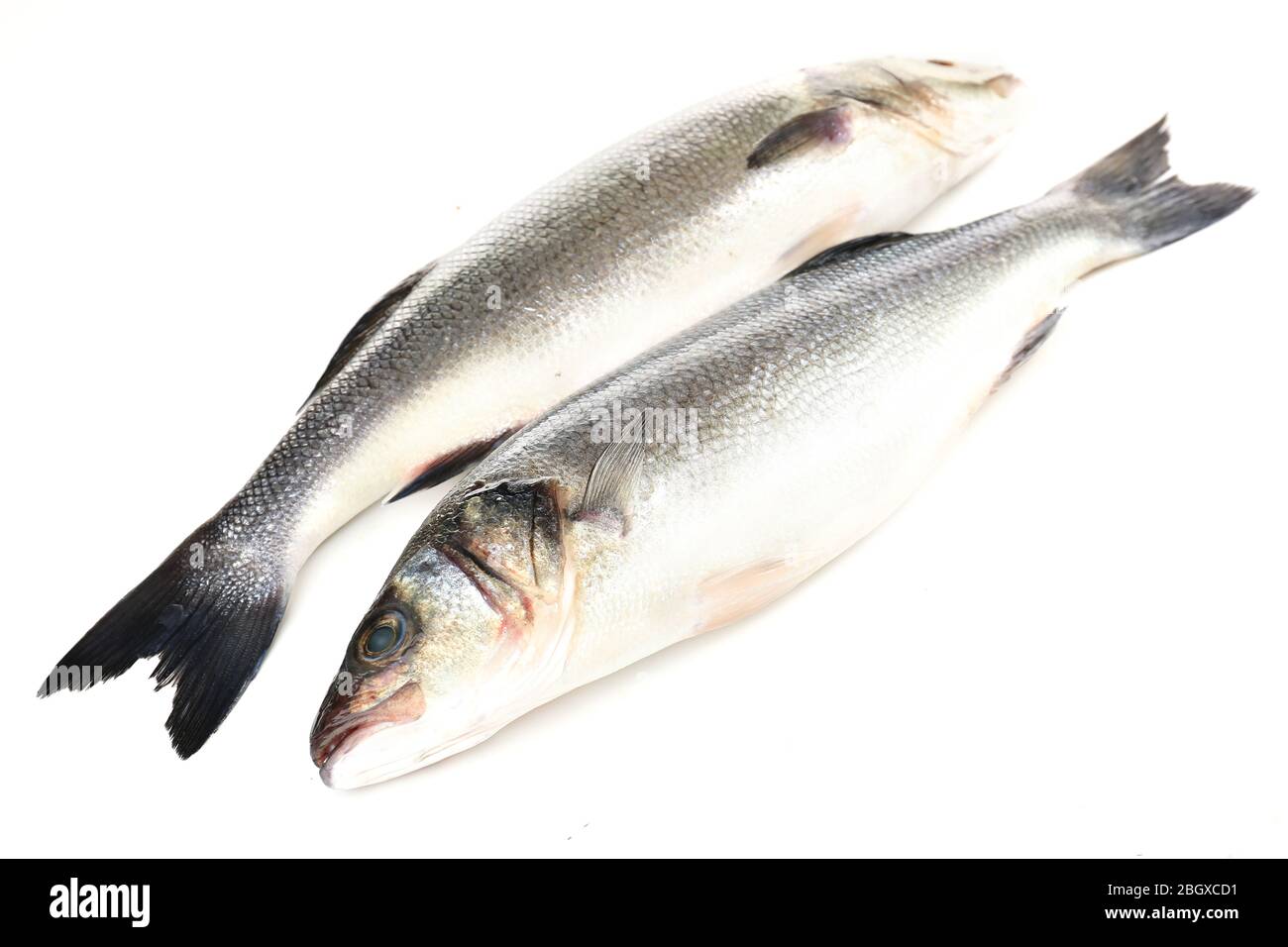 Fresh seabass fish isolated on white Stock Photo - Alamy