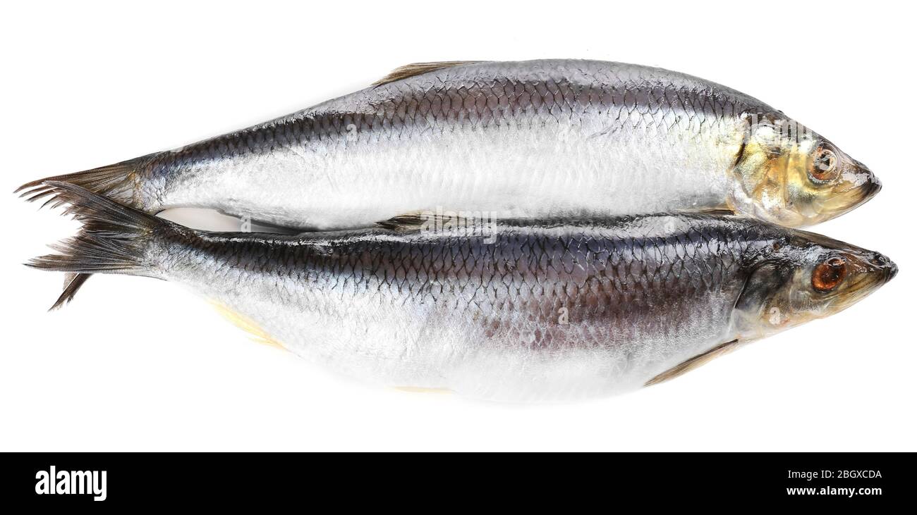 Fresh fish isolated on white Stock Photo - Alamy