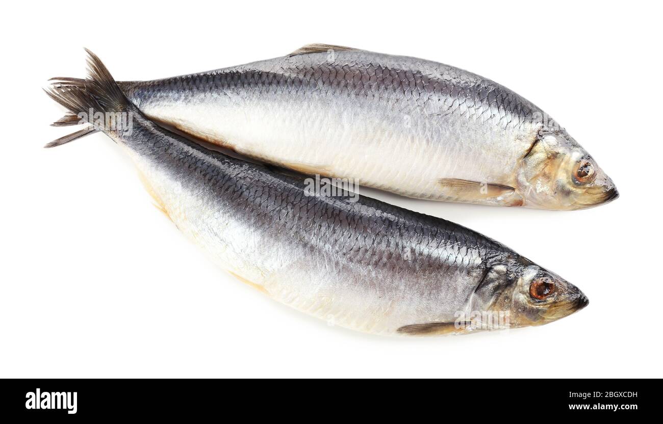 Fresh fish isolated on white Stock Photo - Alamy